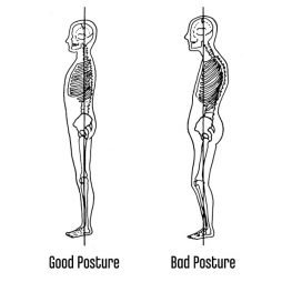 4 Important Causes of Bad Posture You Need To Know