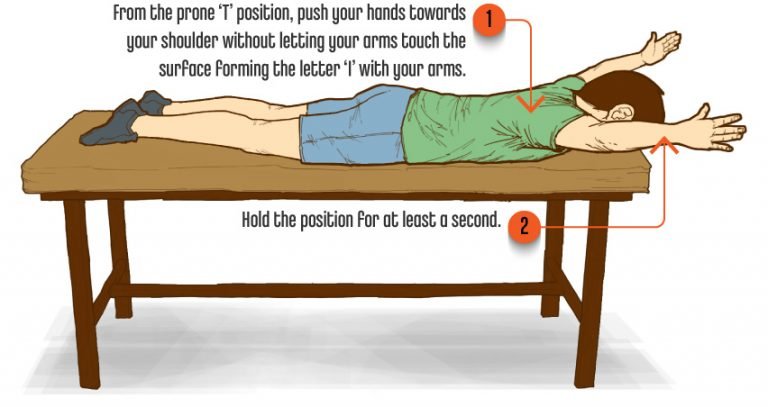 Scapula exercises for posture - Your Body Posture