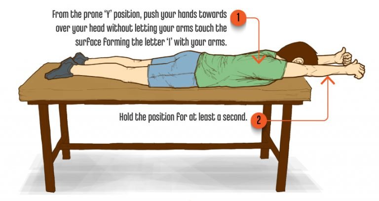 Scapula exercises for posture - Your Body Posture