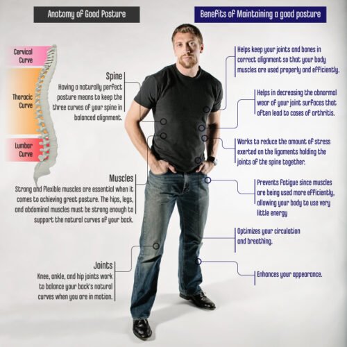 Good Posture in 4 weeks - Your Body Posture Stretches & Exercises