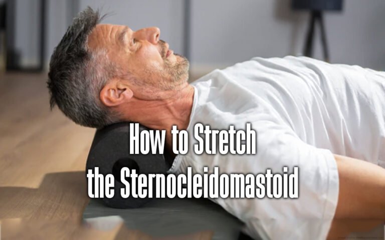 How to Stretch the Sternocleidomastoid - Your Body Posture